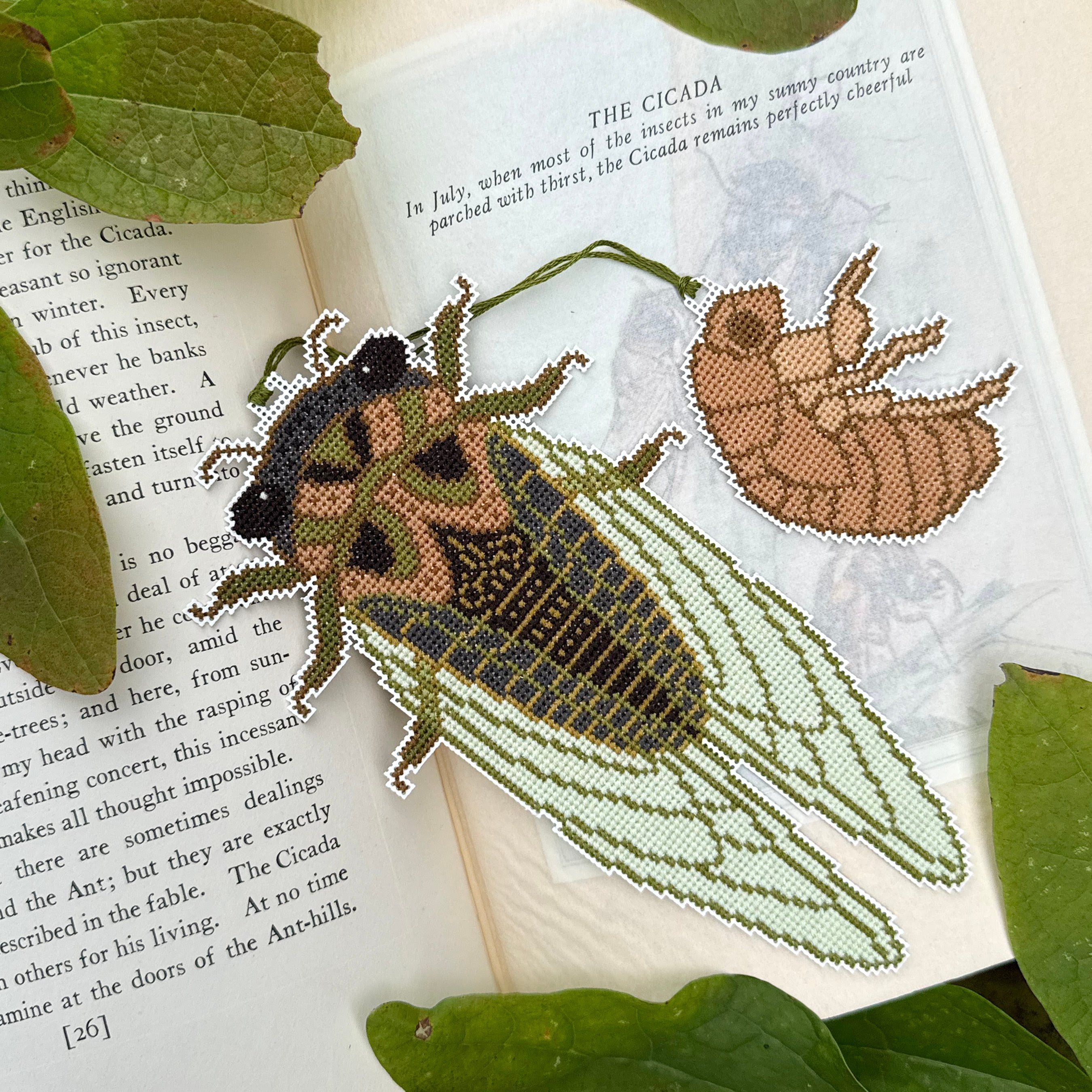 Boomerang Stitches CICADA SEASON Cross Stitch Pattern Nashville Market ...